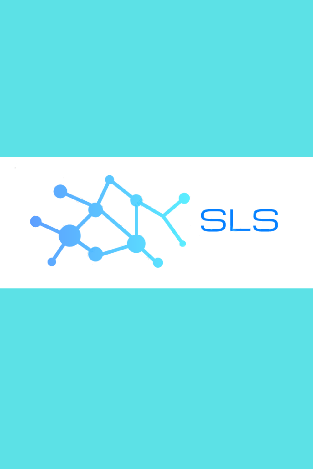 SLS Digital LLC